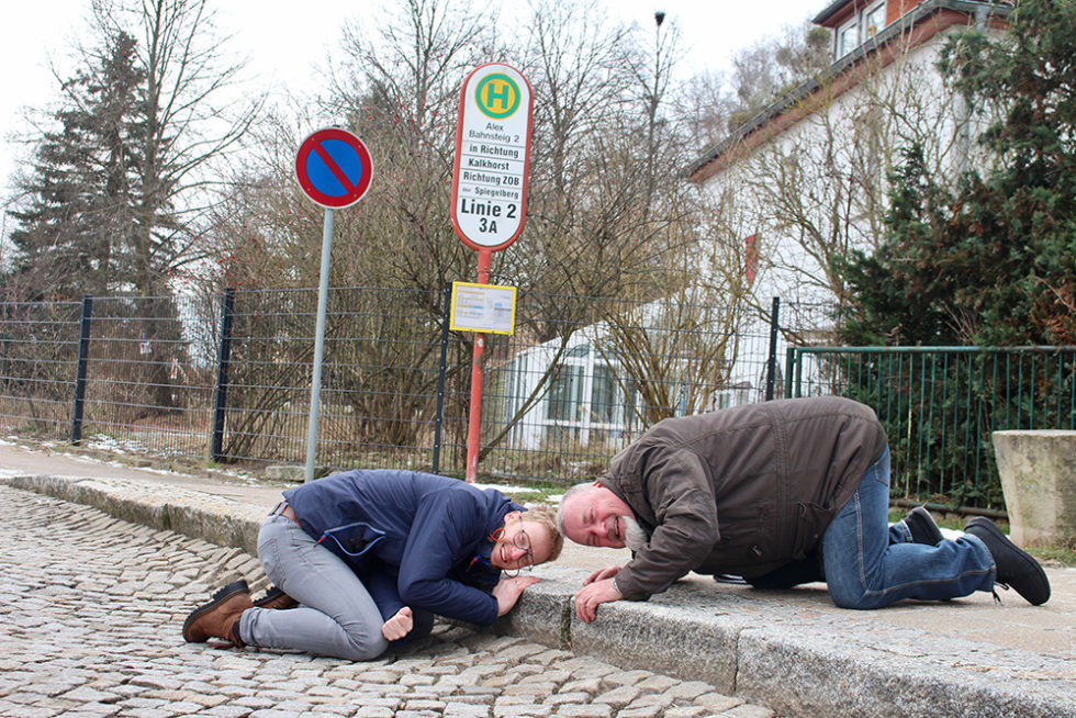 Strelitzius | 08.02.2021 | Daniel Priebe